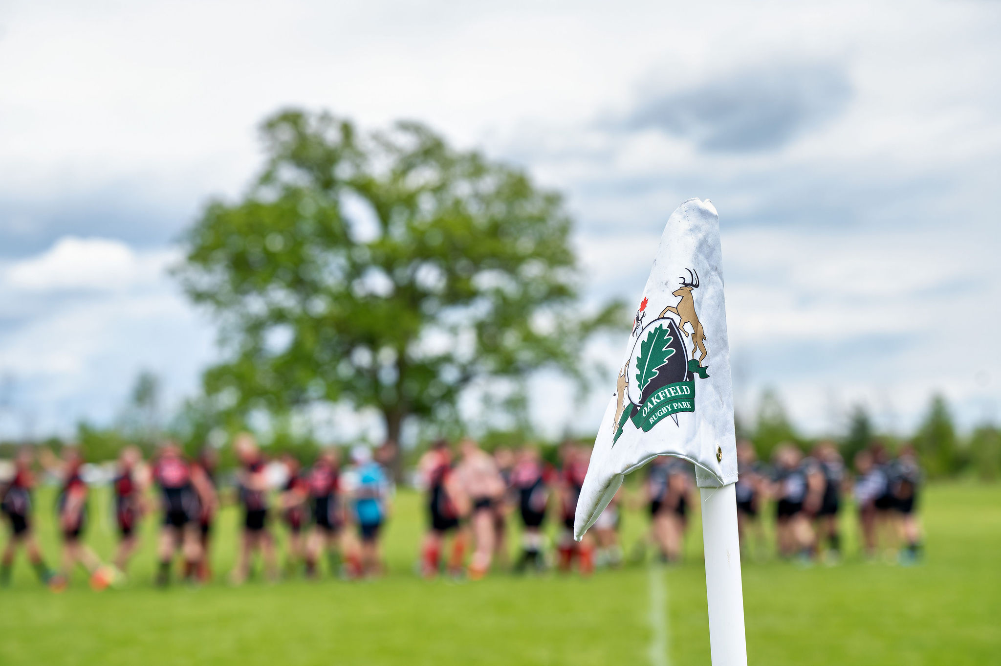 Rugby 101: A Beginner’s Guide to the World’s Most Welcoming Sport ...